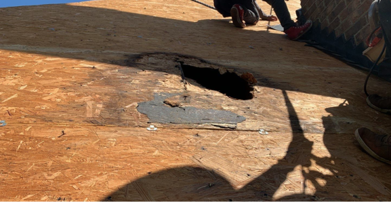 Roof Failure: What You Need To Do When Your Roof Is Falling